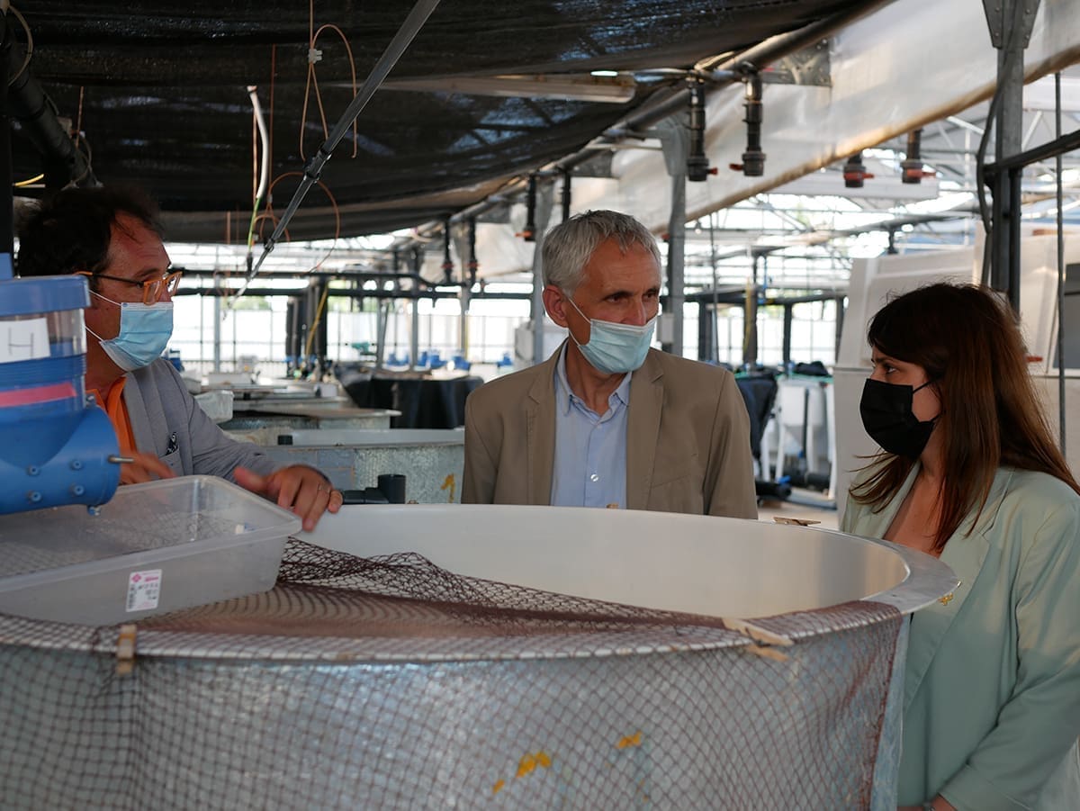 Gemma Geis, consellera de Investigación y Universidades: «El IRTA es ...