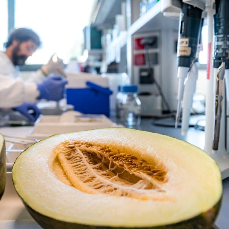 CRAG - Los centros IRTA - Quiénes somos - IRTA